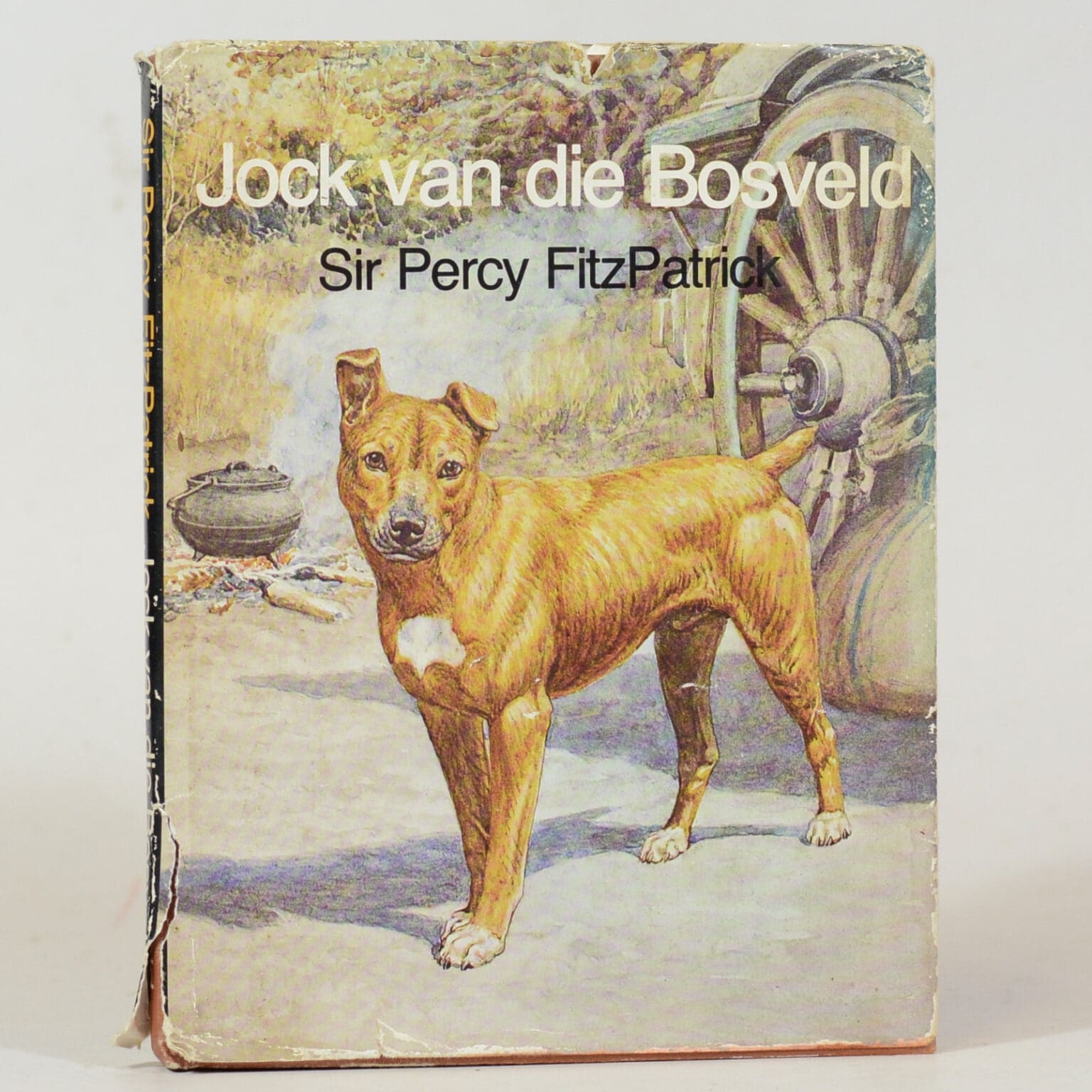 Jock van die Bosveld (Afrikaans edition) - Fitzpatrick, Sir Percy ...